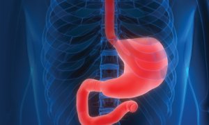 Centennial Hills Hospital Medical Center | Centennial Hills Hospital ...